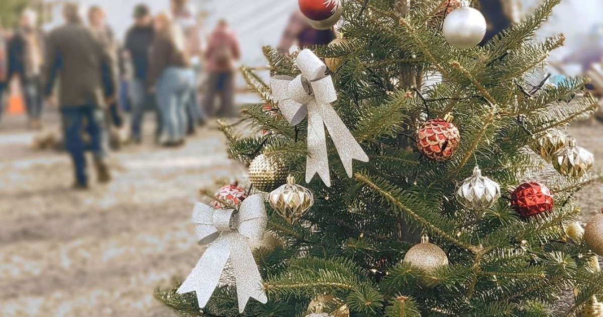 Sutton Christmas Market